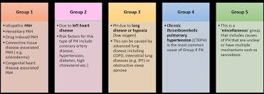 Types of Pulmonary Hypertension - HubPharm Africa